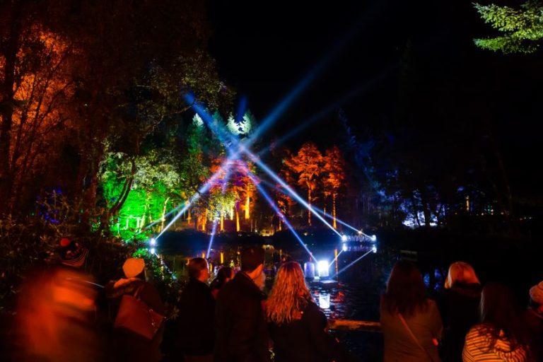 Photo Gallery - The Enchanted Forest