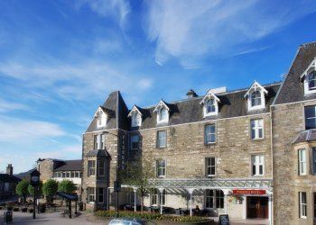 Stay - The Enchanted Forest