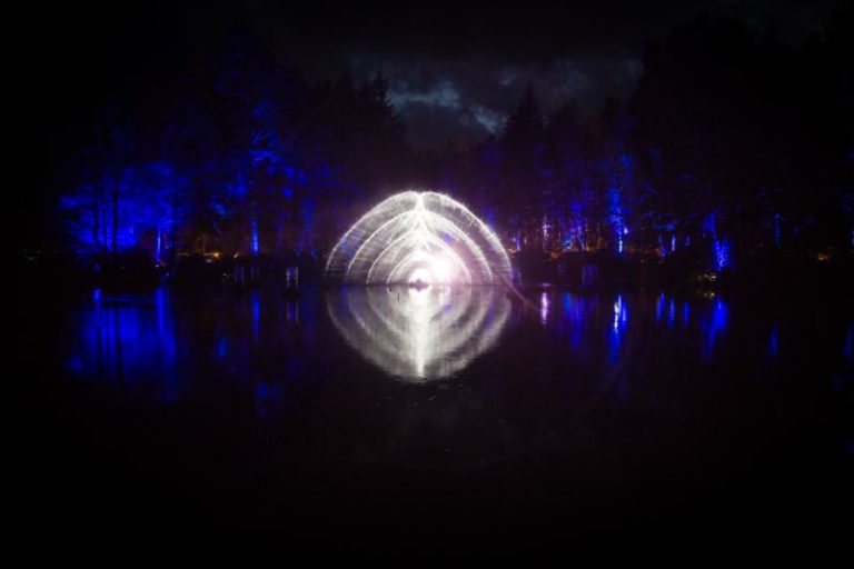 Photo Gallery - The Enchanted Forest