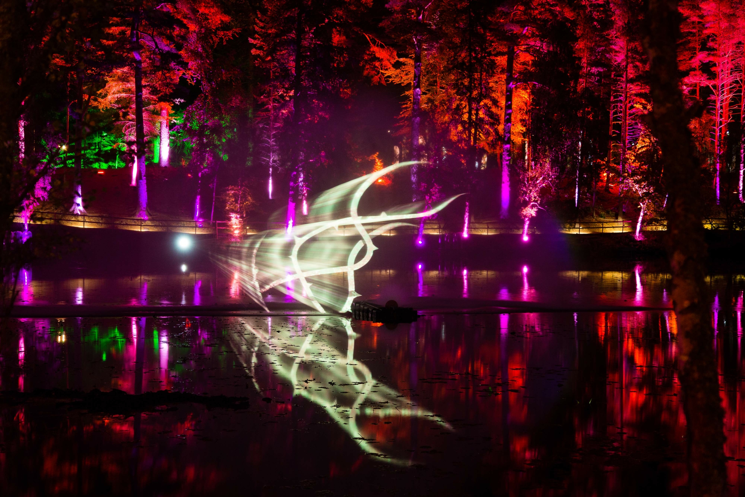 Tickets for The Enchanted Forest 2019 go on sale today for a starry ...