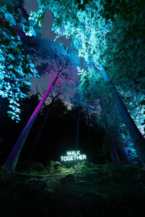 The Event – The Enchanted Forest