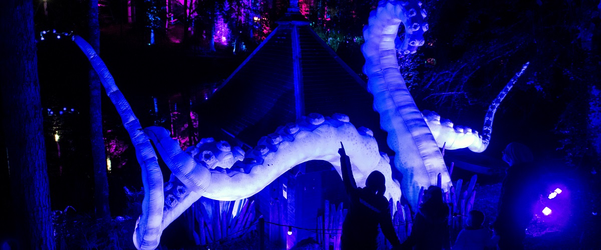 Home - The Enchanted Forest