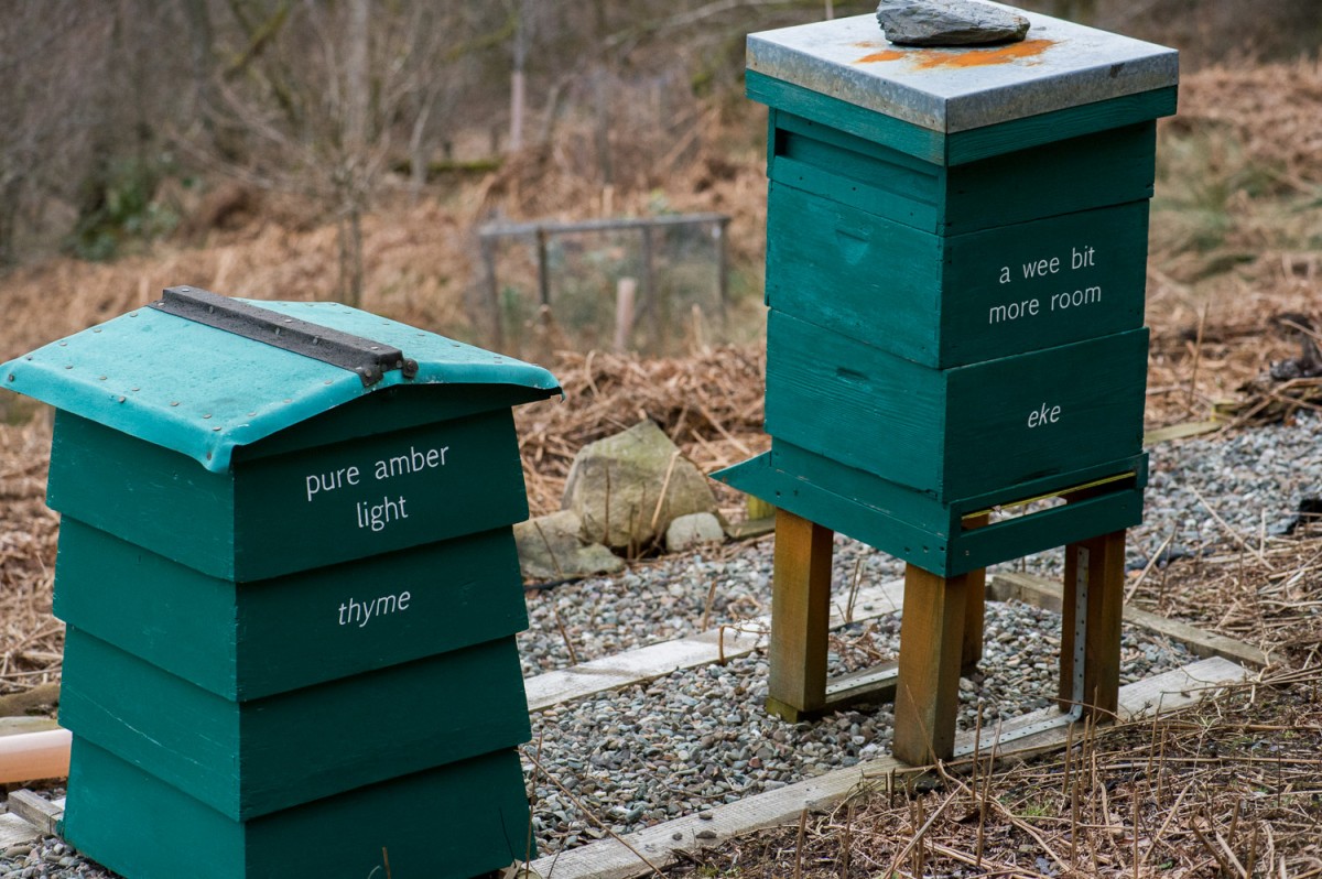 Corbenic Camphill Community - The Enchanted Forest