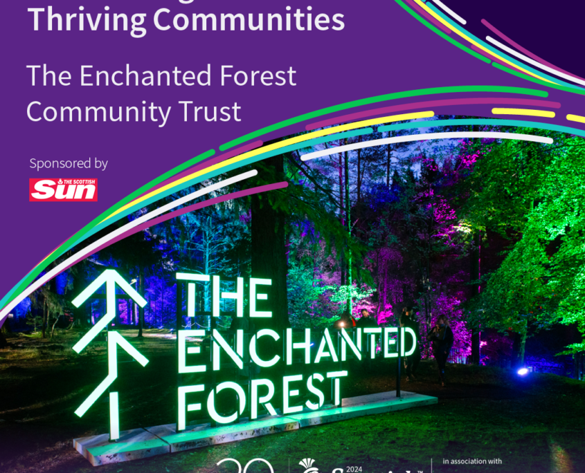 Home - The Enchanted Forest