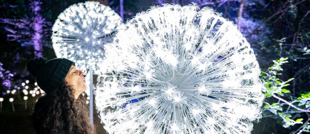 The Event - The Enchanted Forest