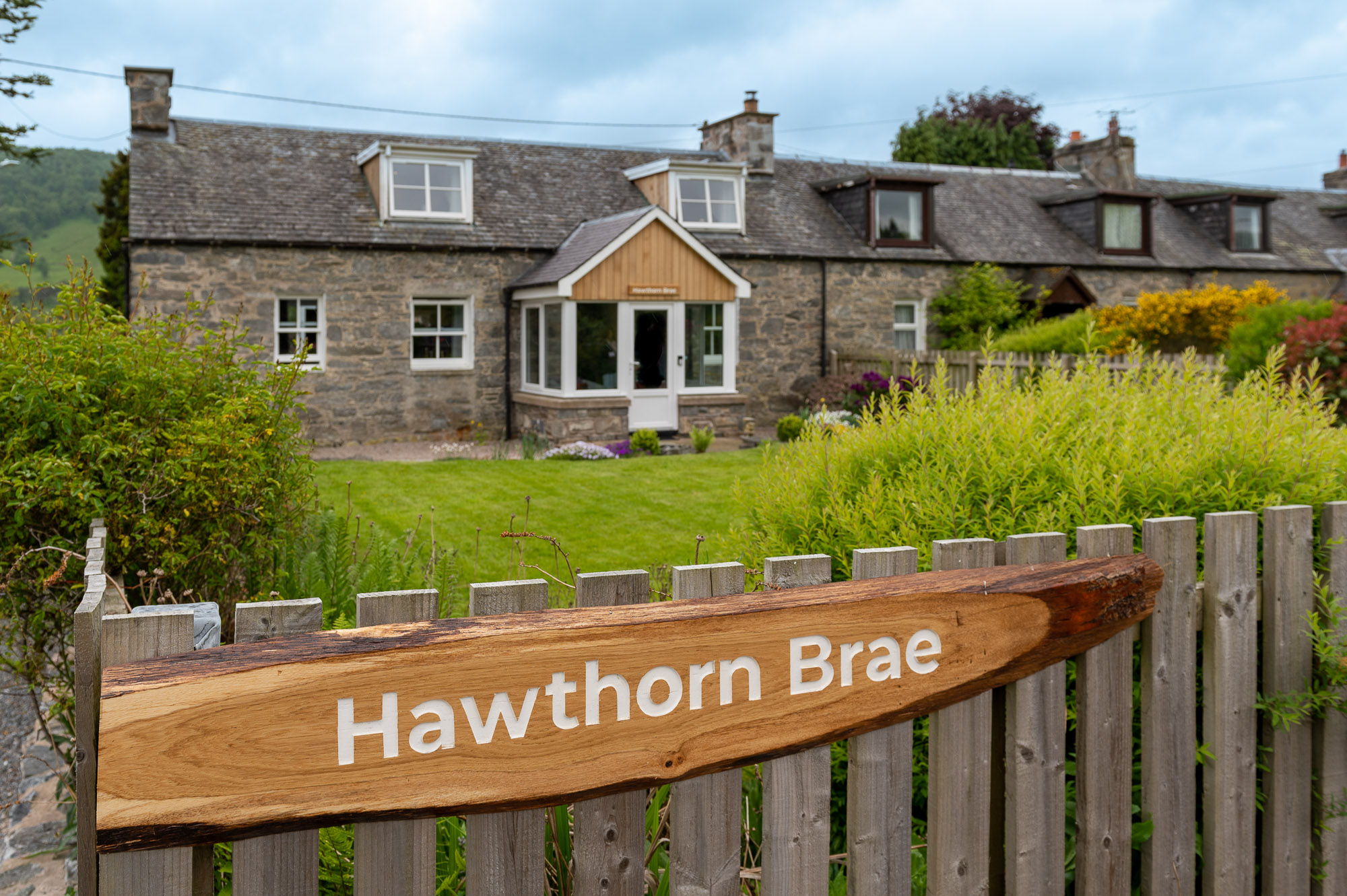 Hawthorn Brae - The Enchanted Forest
